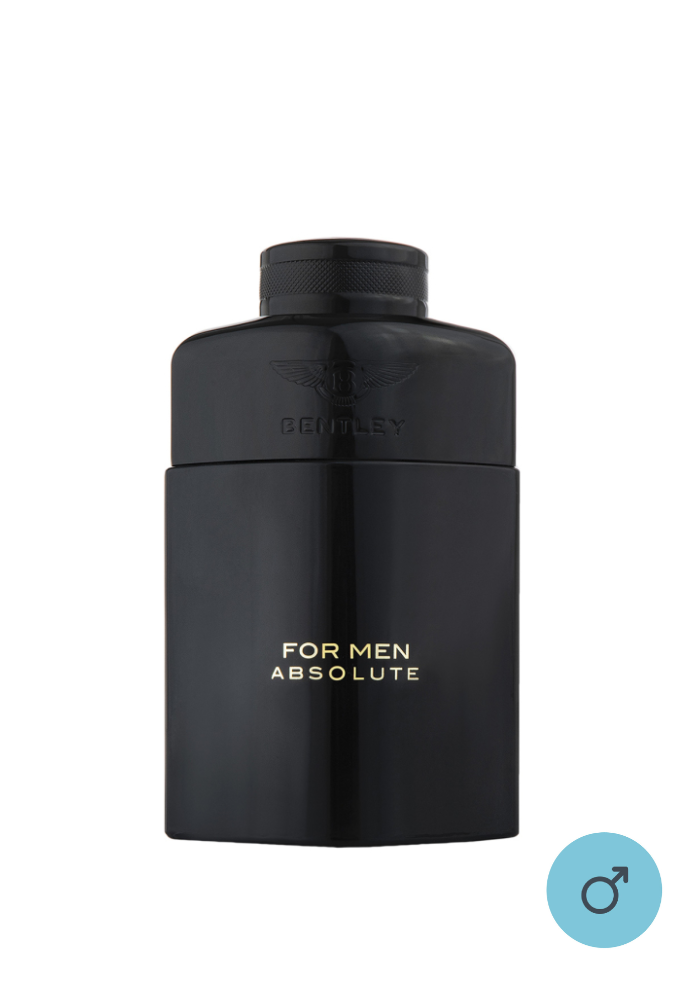 Bentley for men absolute store